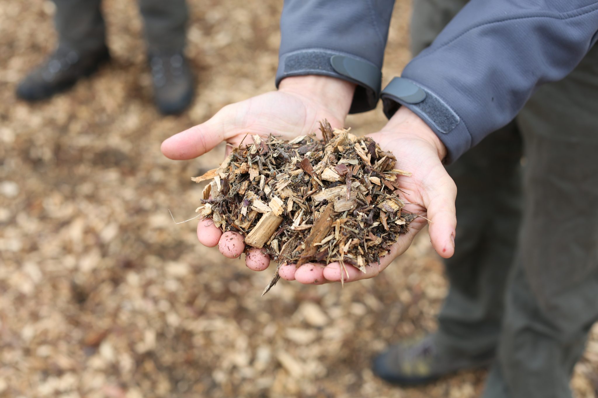 Sperry Tree Care Certified Arborists And Tree Climbers