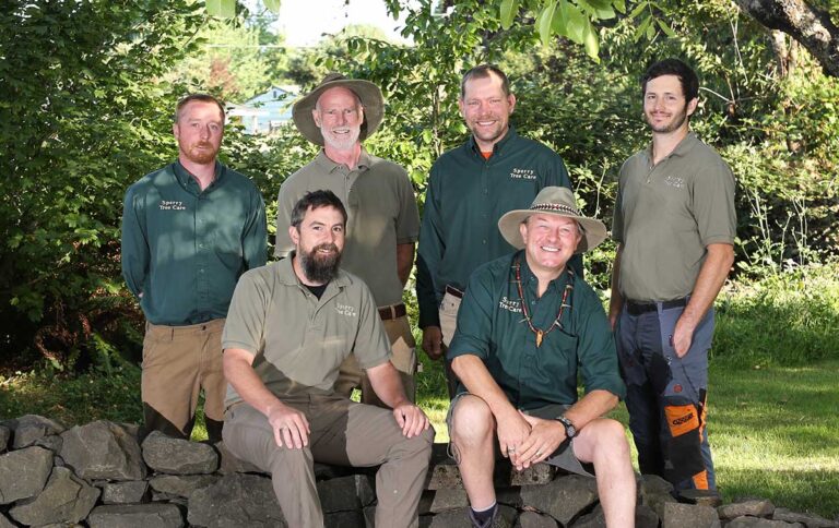 Sperry Tree Care Certified Arborists And Tree Climbers