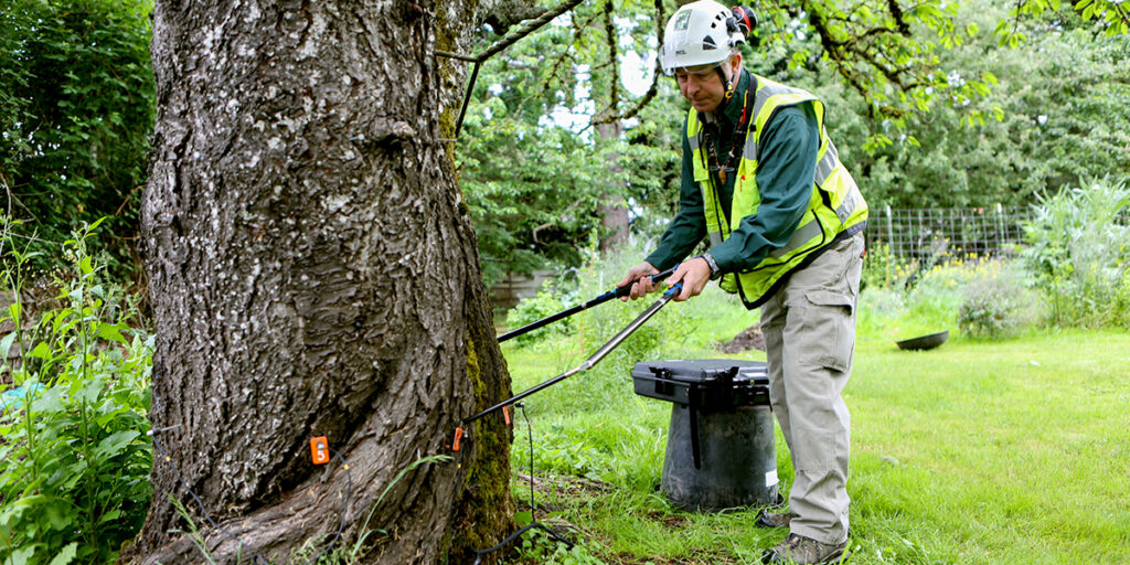 TREE RISK AND HEALTH EVALUATION - Sperry Tree Care